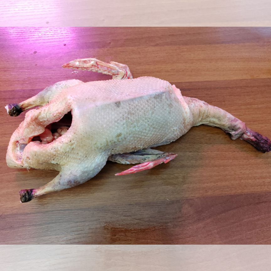 Мясо утки и гуся