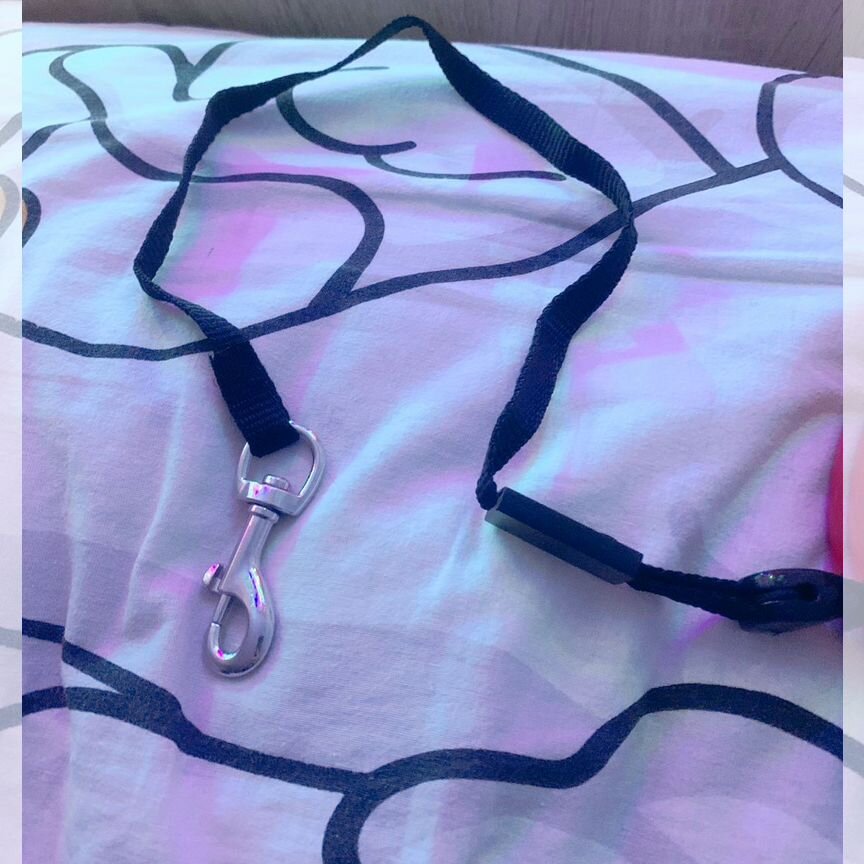 Рулетка поводок для собаки