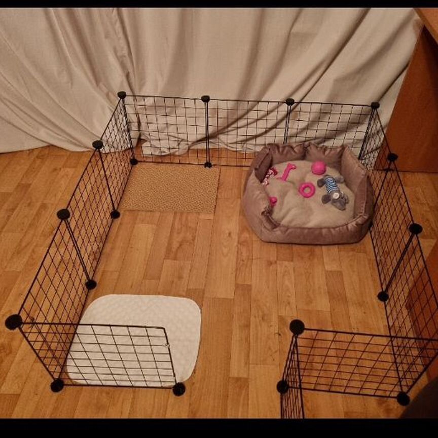 Вольер для собак домашний