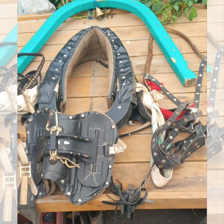 Сбруя для лошади