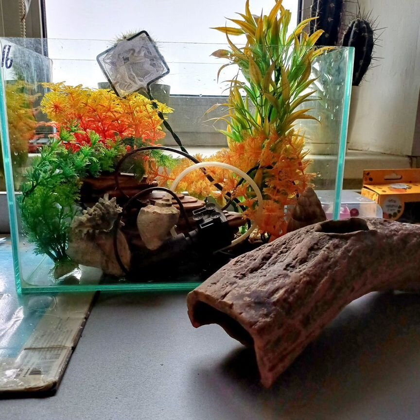 Аквариум с украшениями