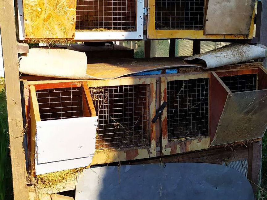 Клетки для кроликов бу