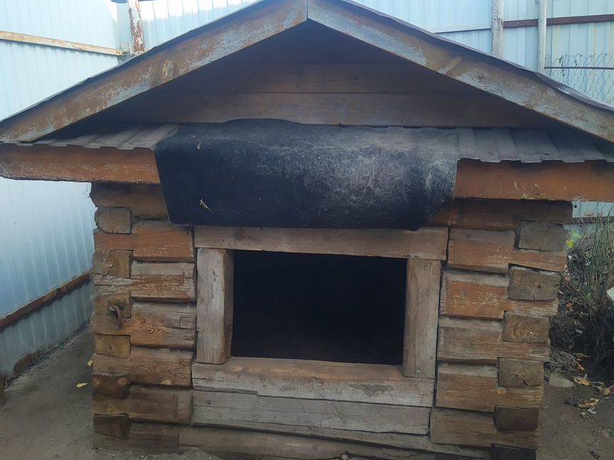 Будка конура для собаки