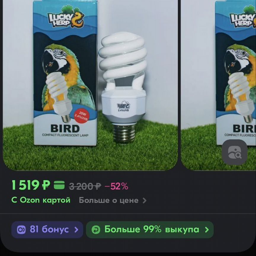 Лампа для птиц и попугаев