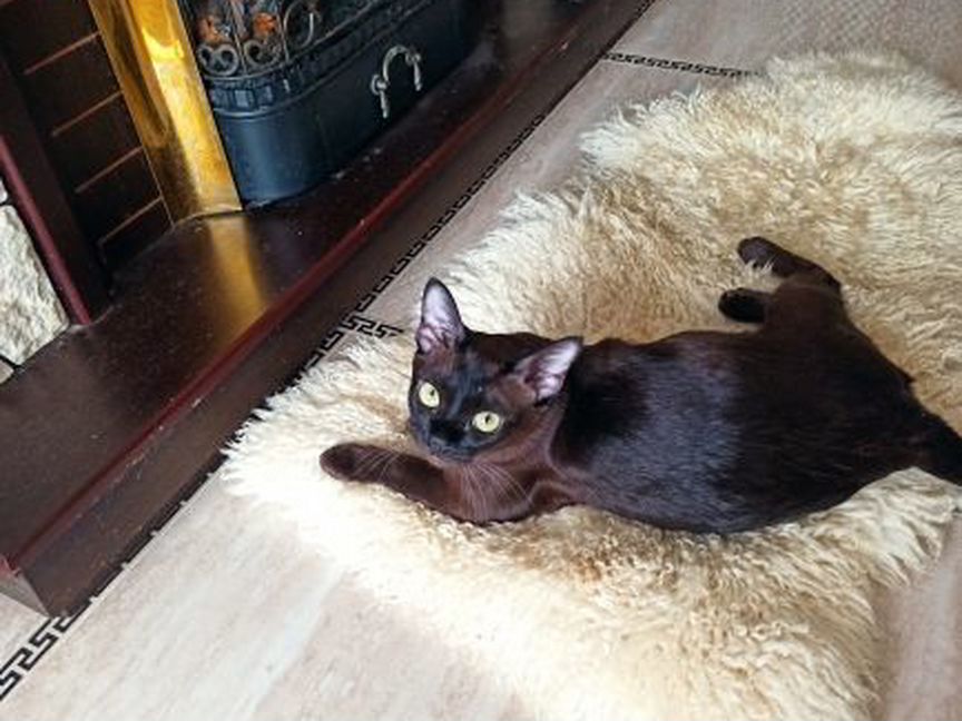 Бурманская