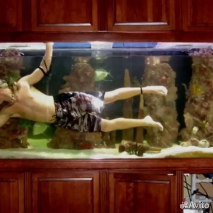 Чистка аквариума, прозрачные цены