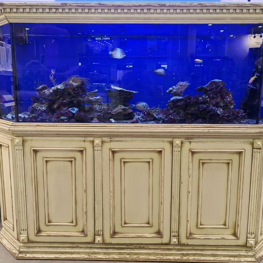 Аквариумы бу морские. Аквариум 900 л, 320 л