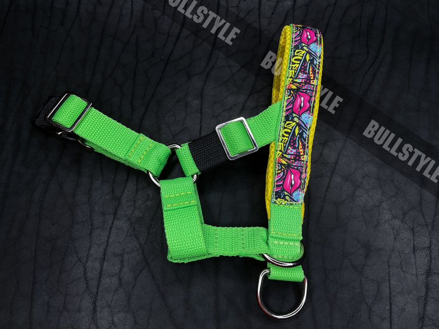 Халти для собак