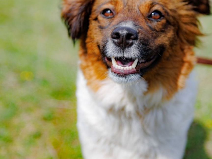 Мила красавица и умница ищет своего человека