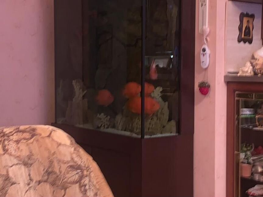 Аквариум с тумбой 500л