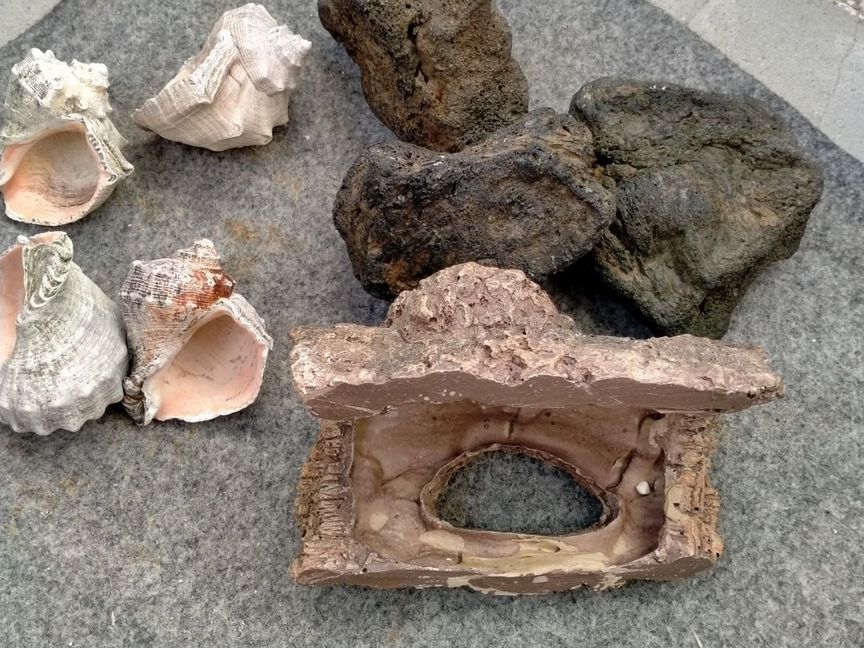 Грот,ракушки,камни лавы