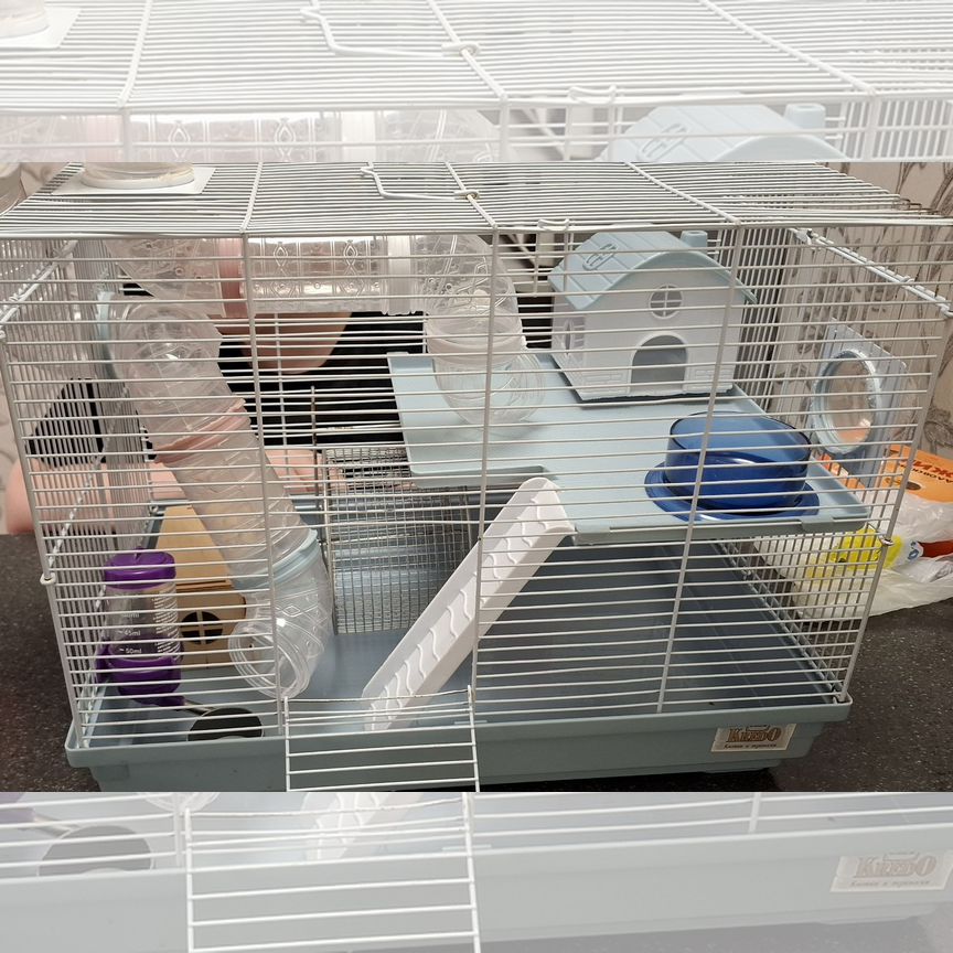 Клетка для грызунов большая и маленькая