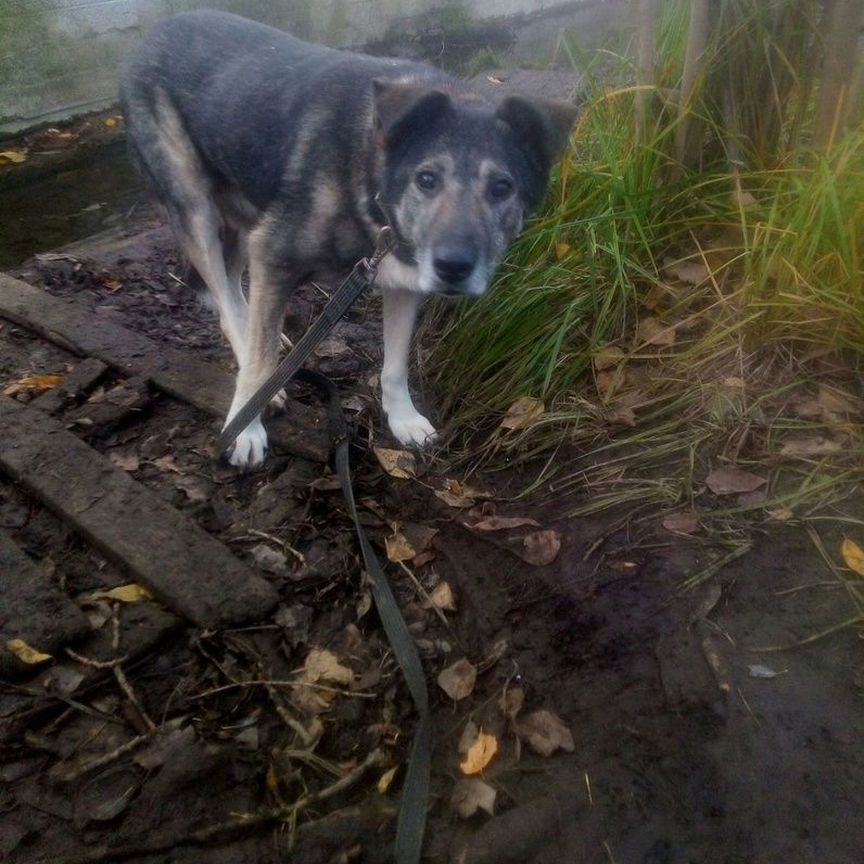 Люди, ну не пожизненный же это приговор