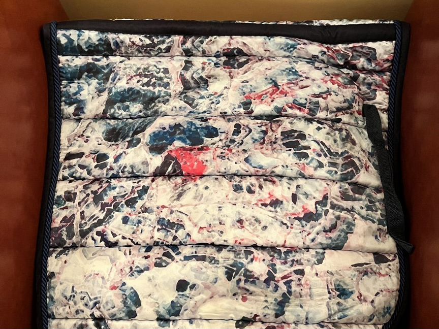 Вальтрапы (конная амуниция)