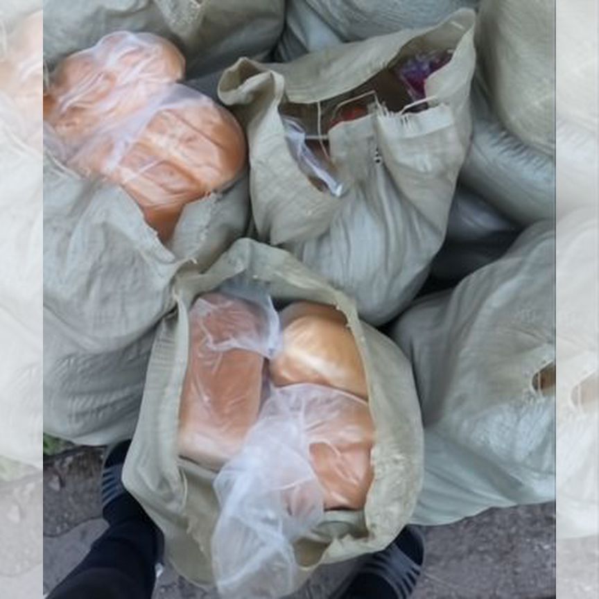 Хлеб на корм животным