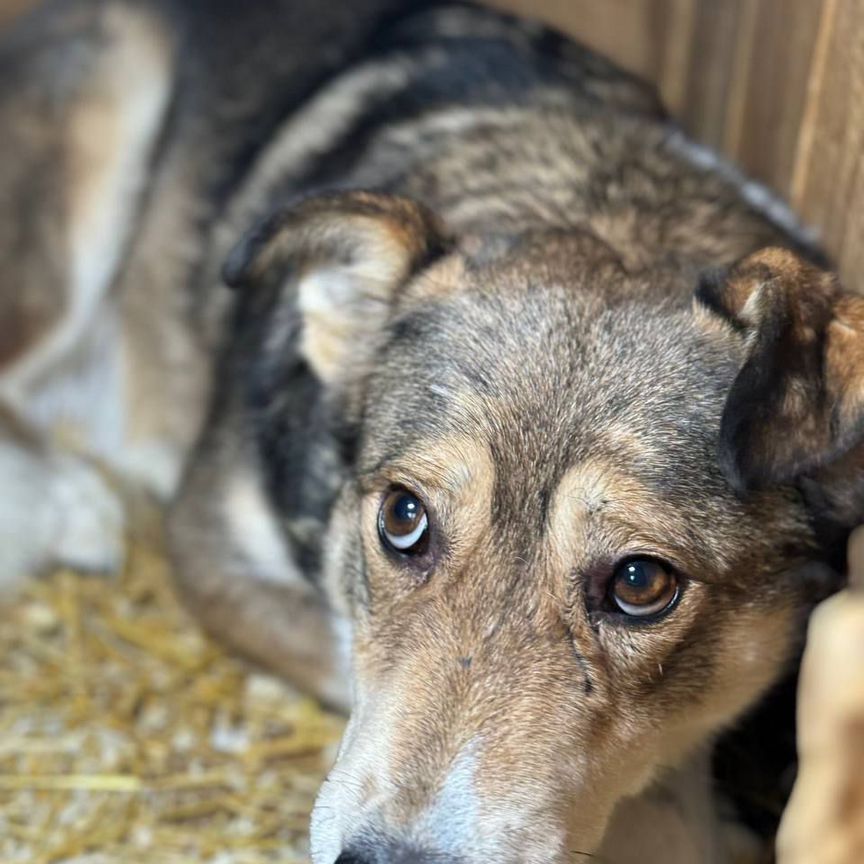 Маня очень вас ждёт