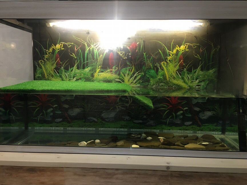 Большой террариум