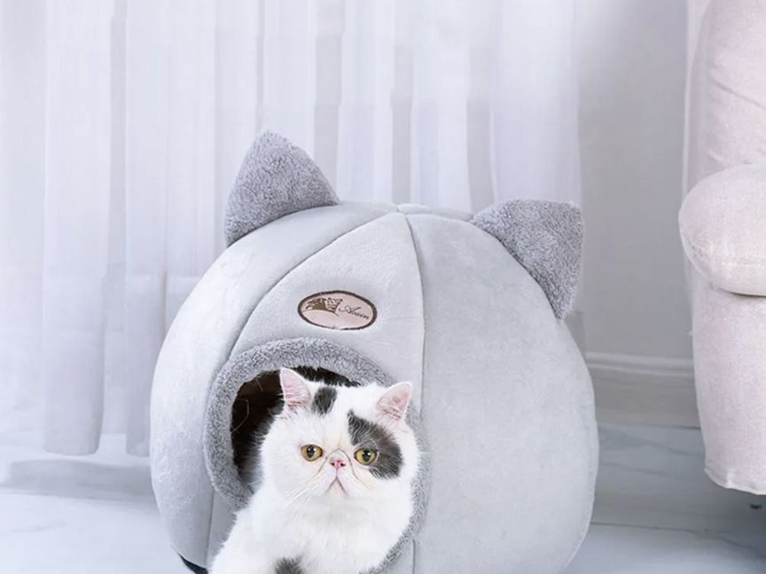 Кошачий домик