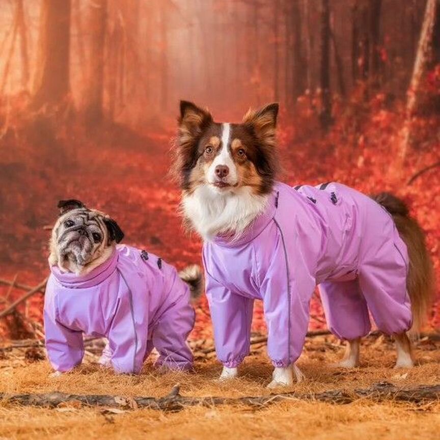 Комбинезон для средних и крупных собак