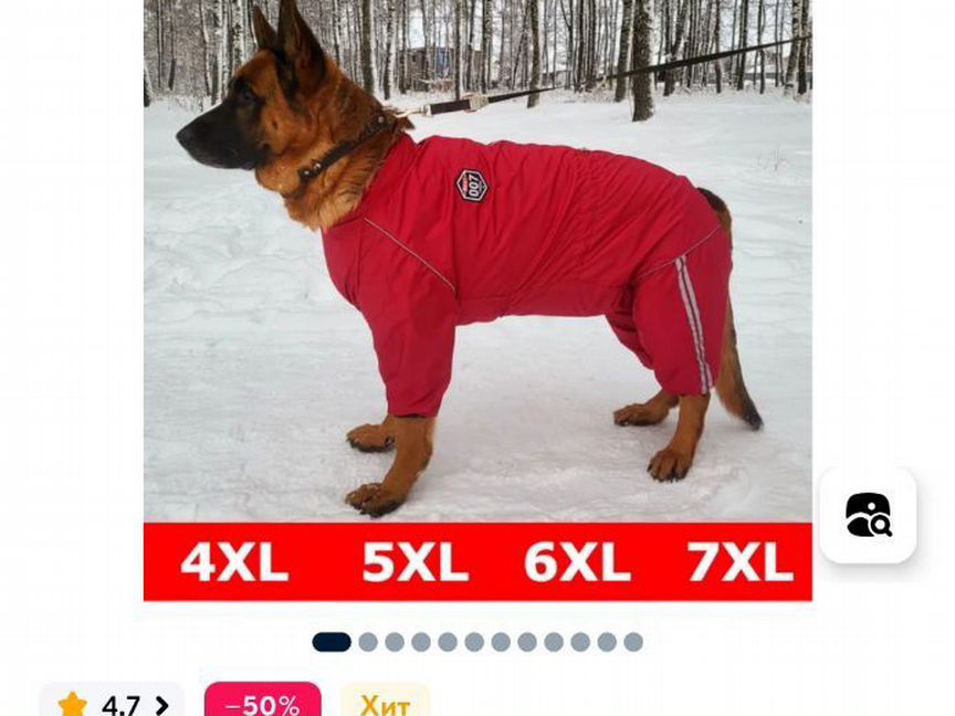 Дождевик для собак
