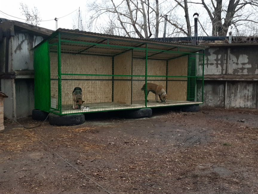 Вольер для 2х собак