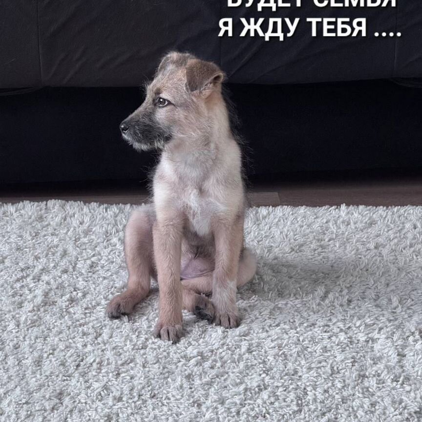 Девочка, очень умная