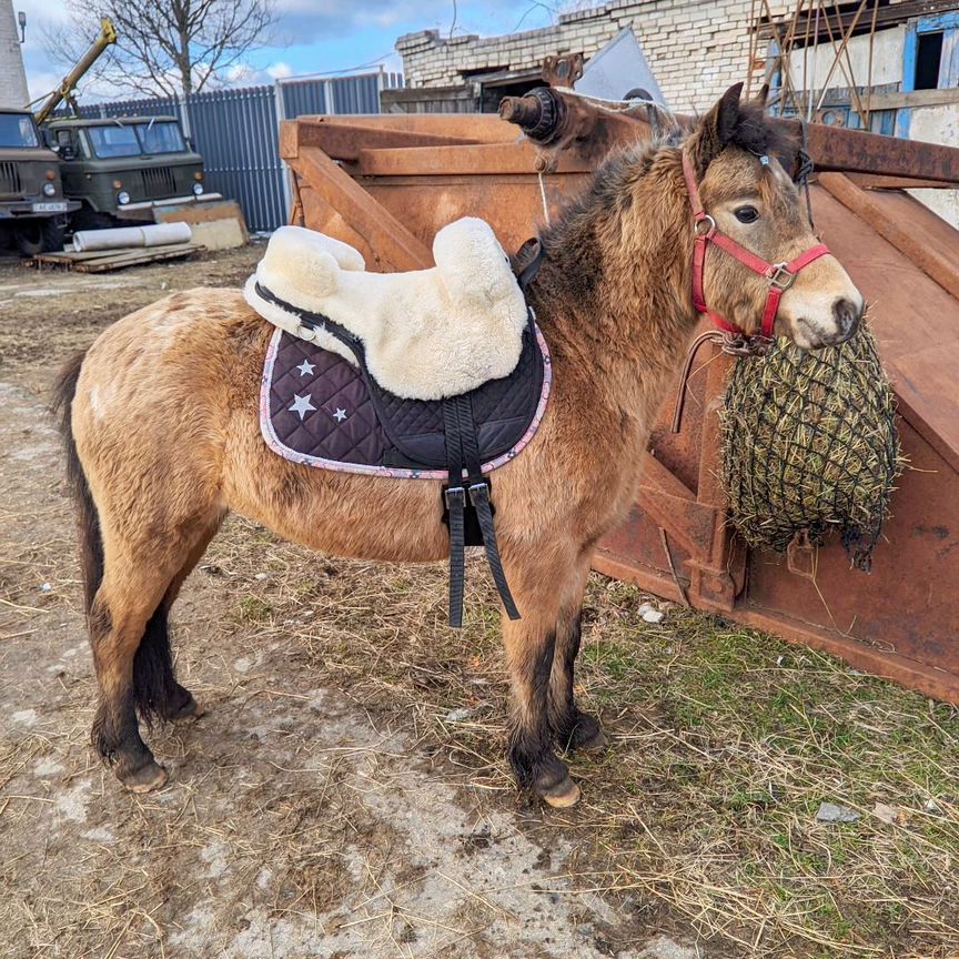 Меховое седло