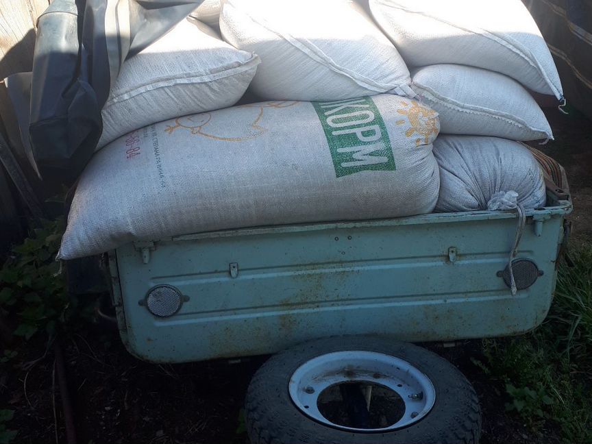 Зерно пшеница ячмень, овёс