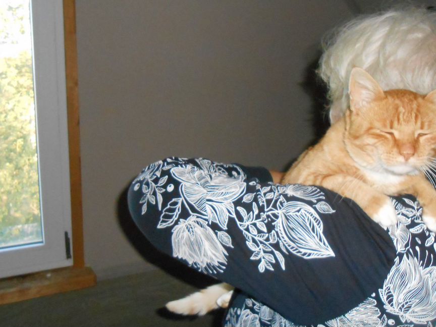 Крис ищет самых добрых хозяев