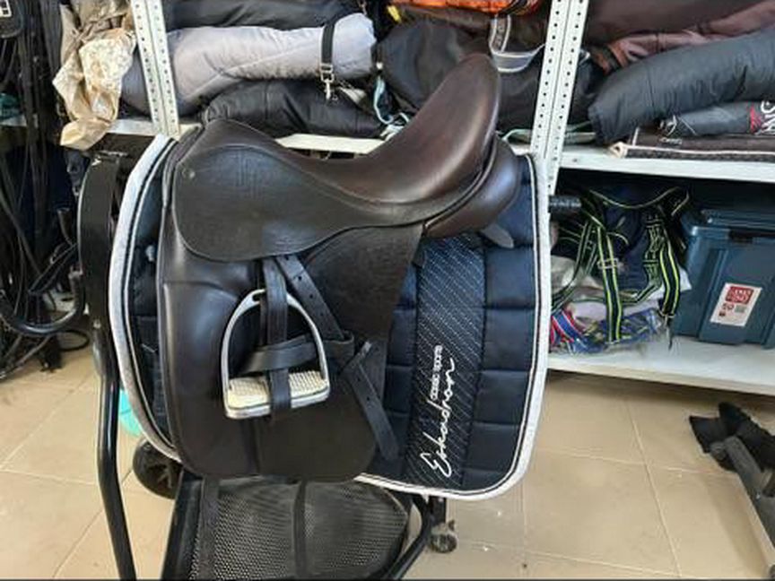 Селор для лошади