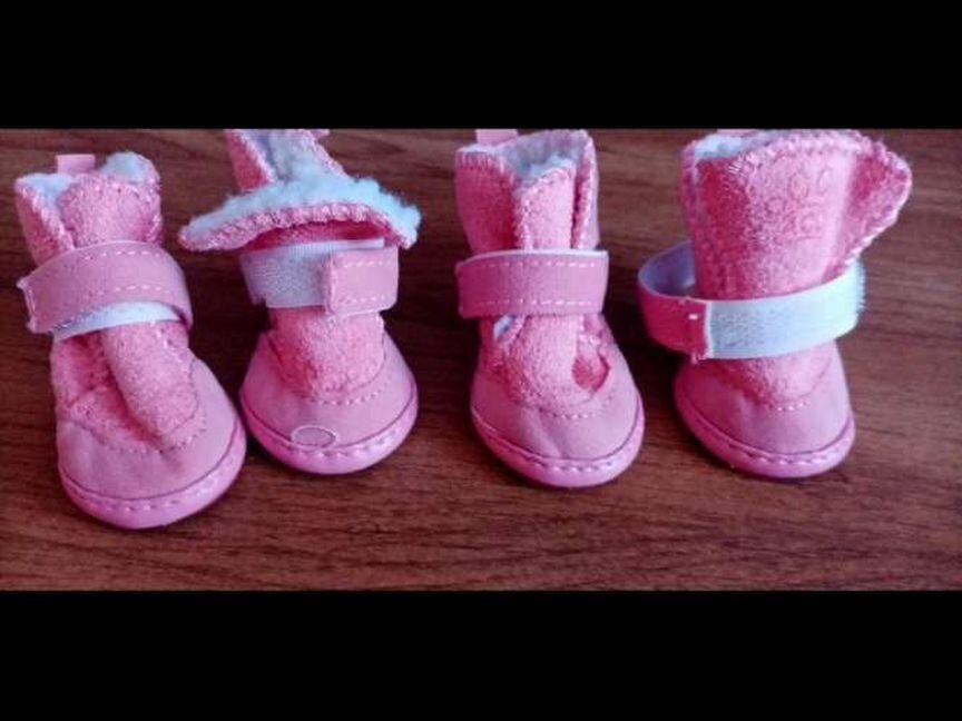 Ботинки для маленьких собак, на подошве