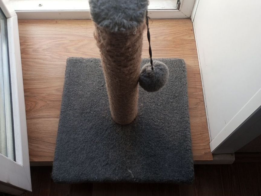 Когтеточка