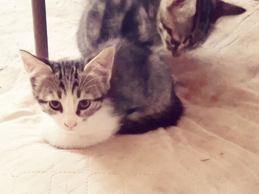 5 оттенков серого