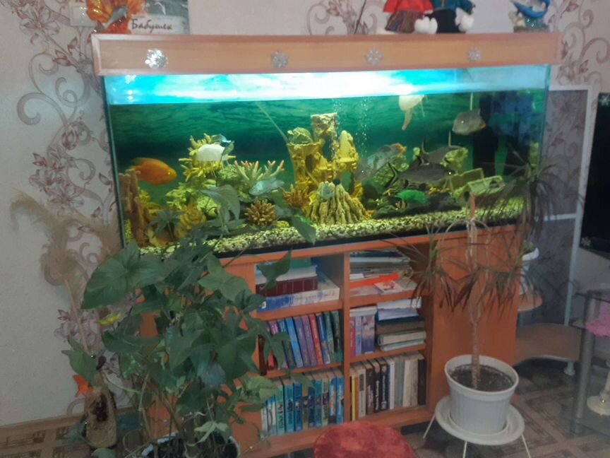 Готовый аквариум