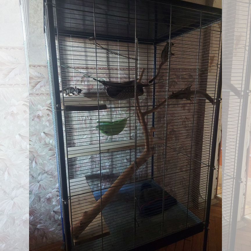 Клетка напольная Ш70 Г57 В100 (с ножками 140)