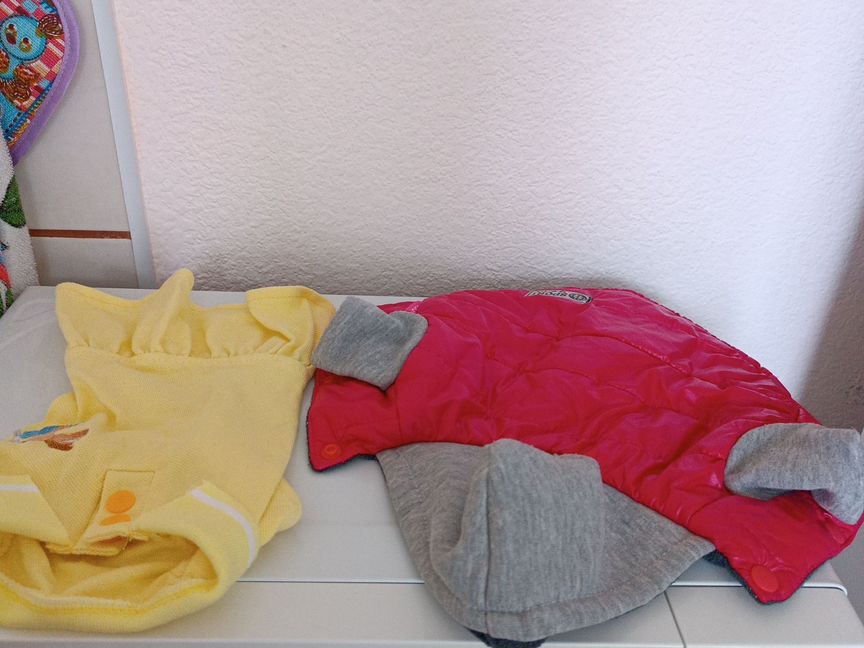 Вещи для маленьких собак