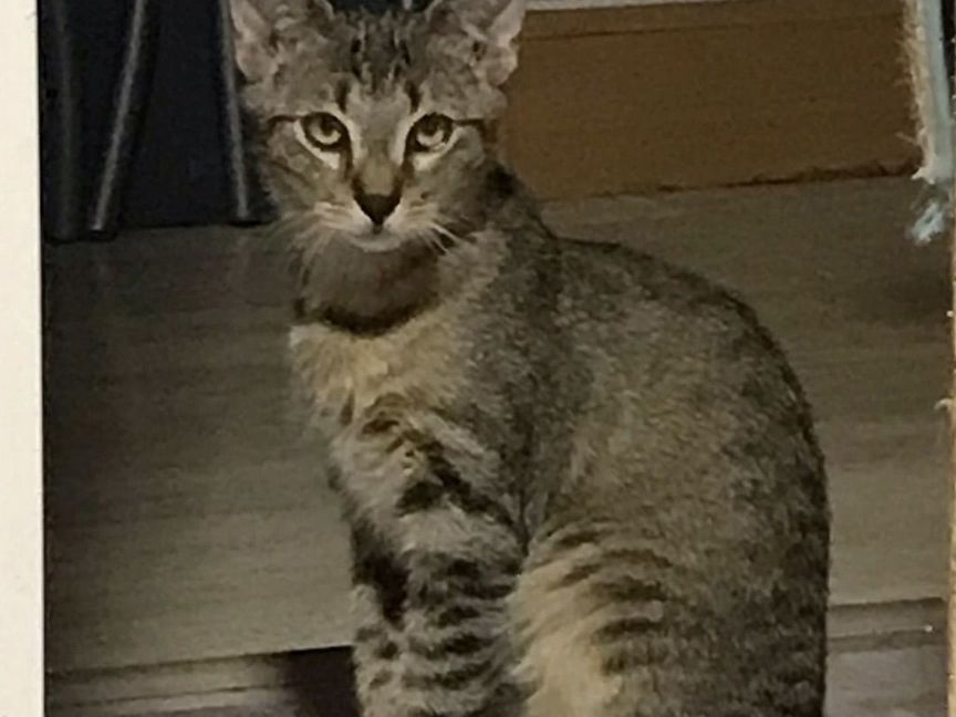 Анатолий