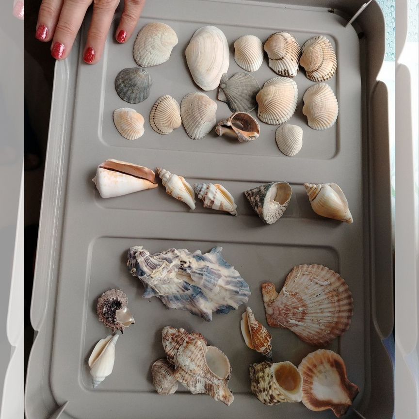 Декорации для аквариума