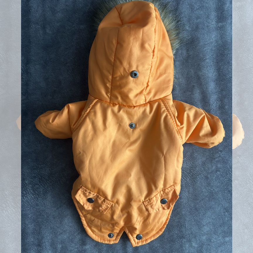 Одежда для собак