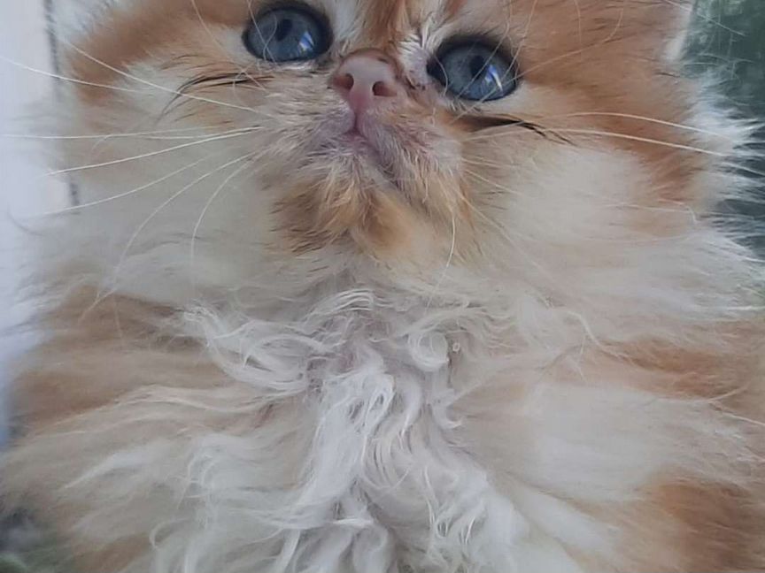 Сладкие малыши