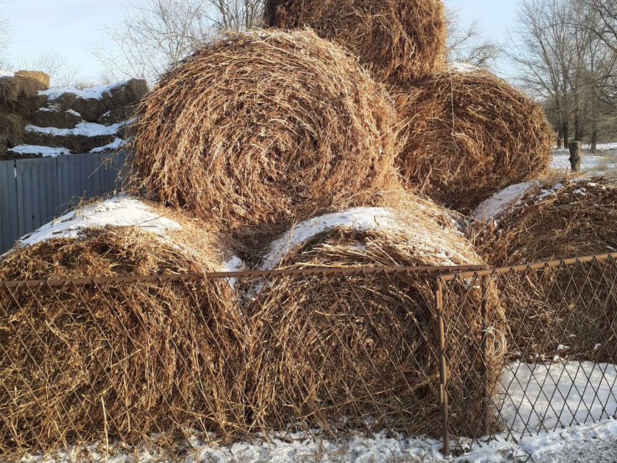 Сено в рулонах