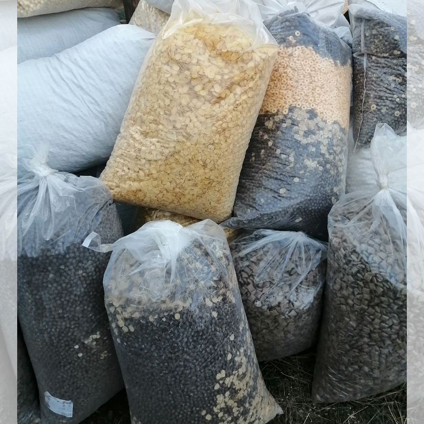 Корма для животных