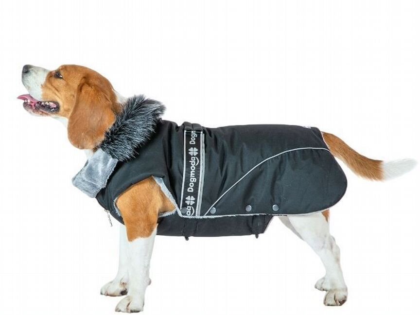 Одежда для средних собак