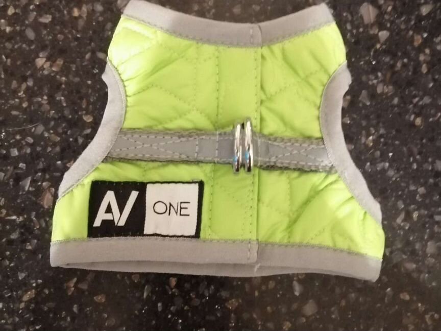 Шлейка / жилет для маленьких животных