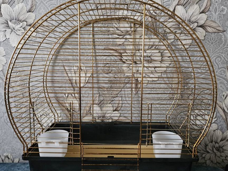 Аксессуары для птиц: клетка, кольца на 2024г