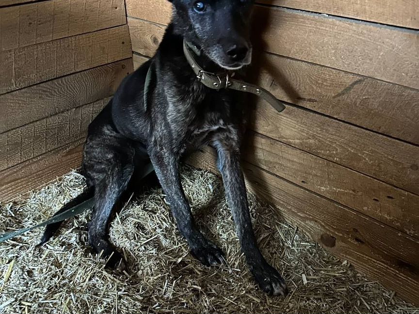 Старушка в приюте