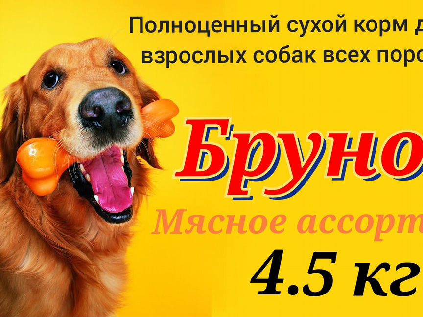 Сухой корм для взрослых собак от 1 года