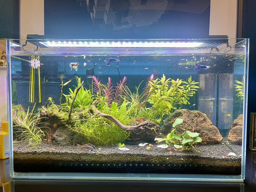 Аквариум полностью 60-30 высота 35