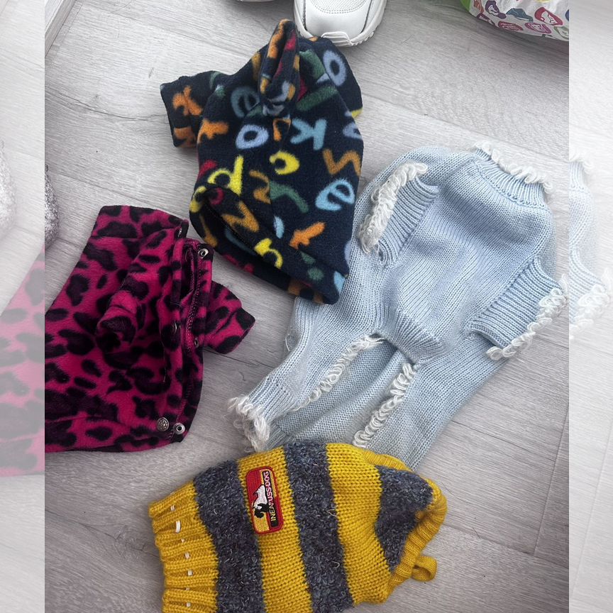 Одежда для собак