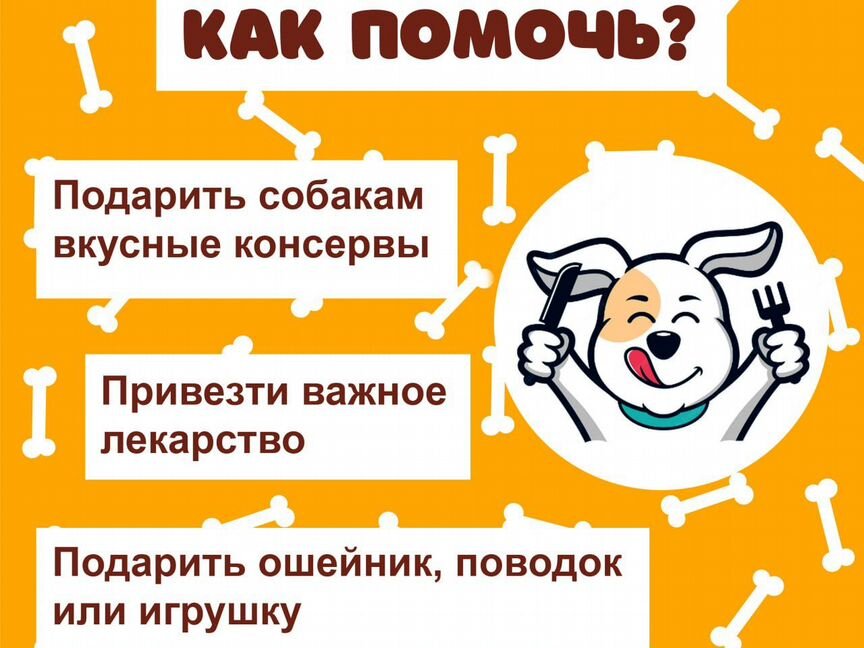 Приюту для собак нужны помощники
